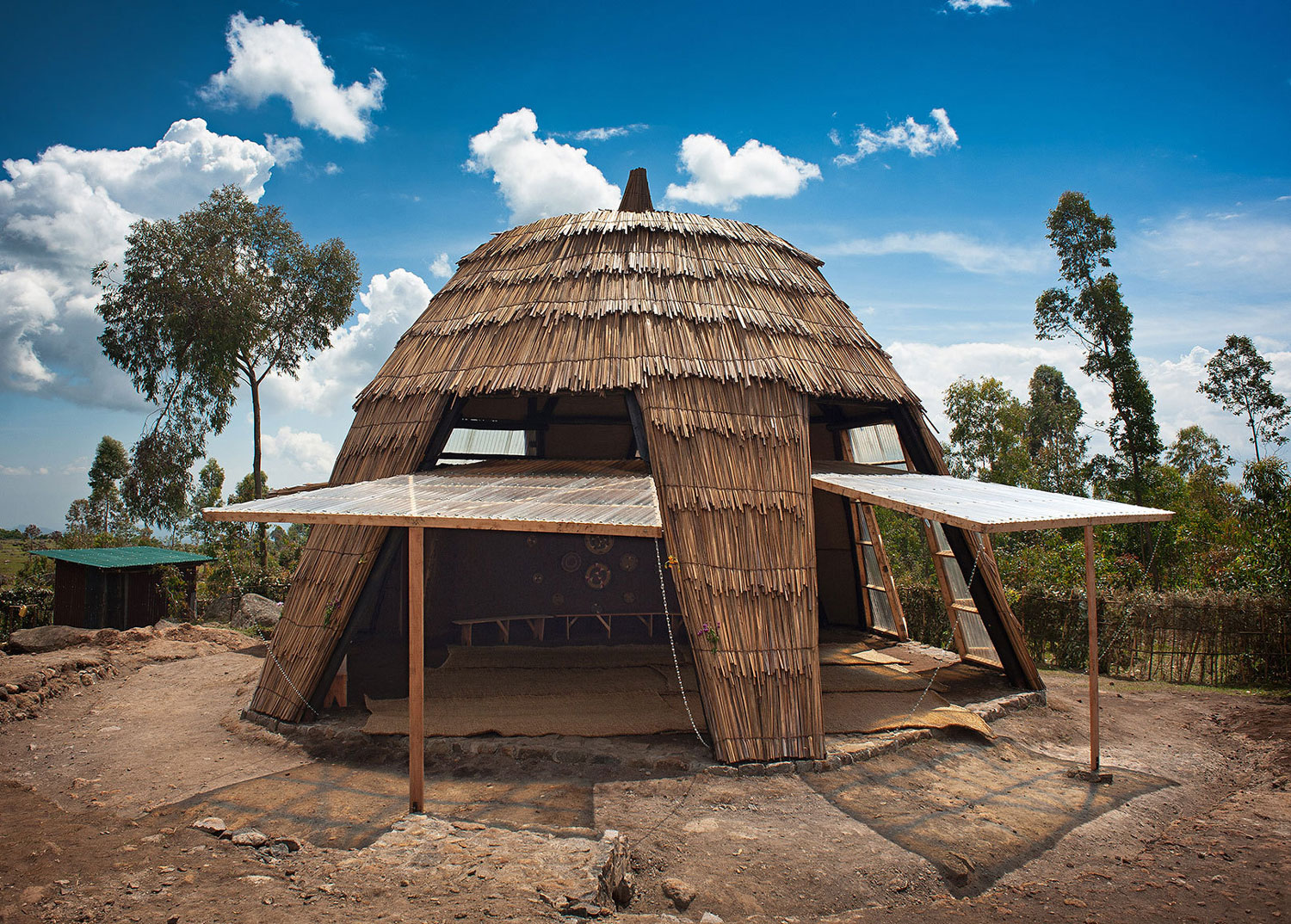 One of The Oldest Tribes In Africa Was Kicked Out Of Their Homes And ...