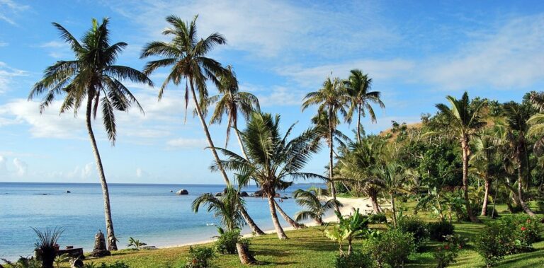 Ultimate Tour Guide: The Best Time To Visit Madagascar - African Vibes