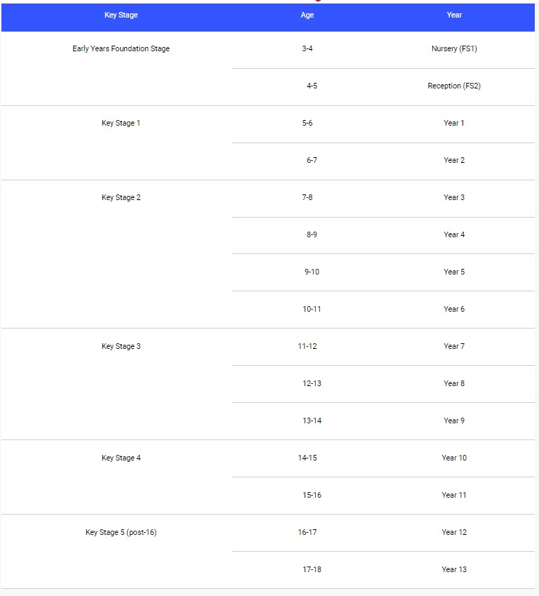 Should Africa Abandon British Curriculum For STEM Education?
