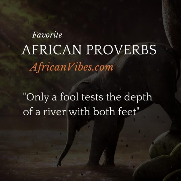 Unlocking the Wisdom of Africa: A Journey Through Timeless African ...