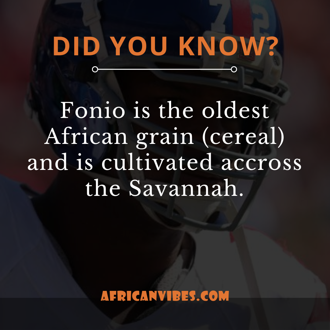 Interesting Facts About Africa