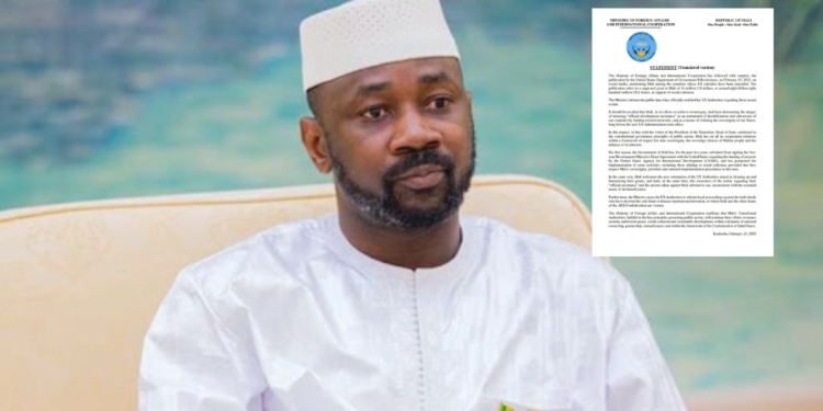 Kenyan Dawa Drink - African Vibes