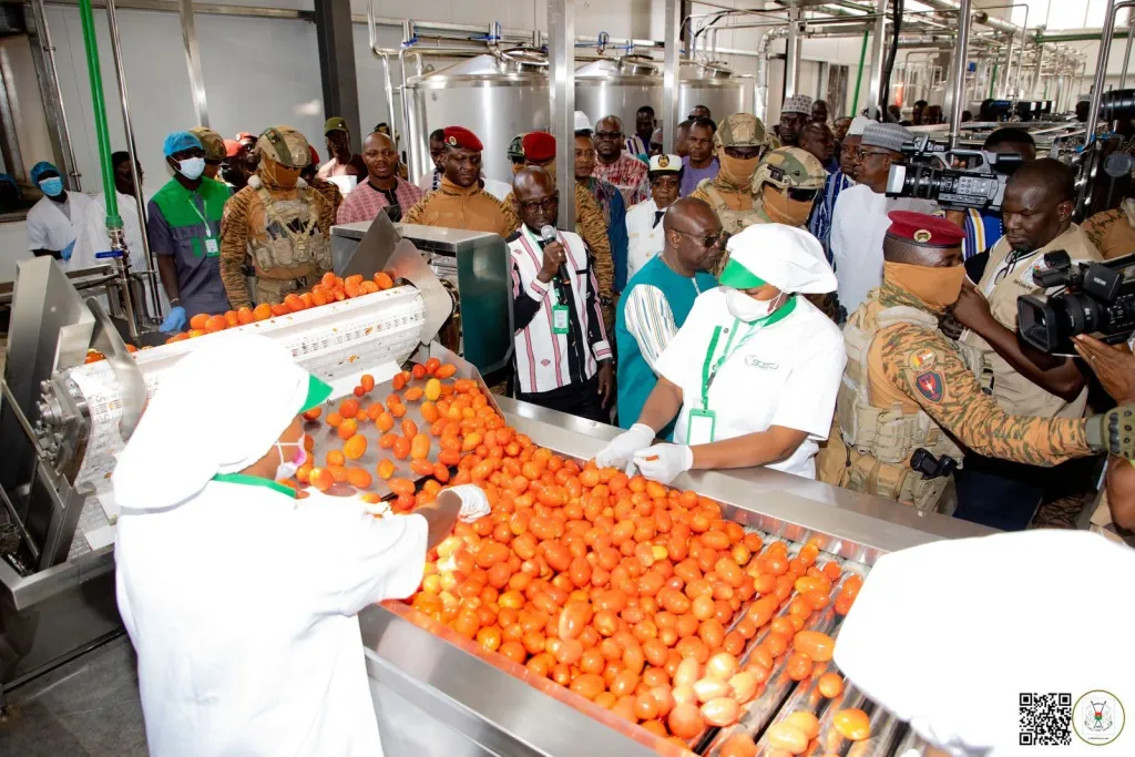 Burkina Faso Tomato Processing Plant: A Game-Changer In Agriculture and ...