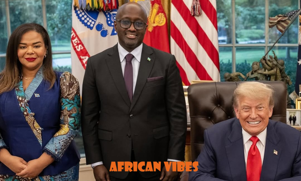 The Washington Accord and the Battle for Africa’s Critical Minerals