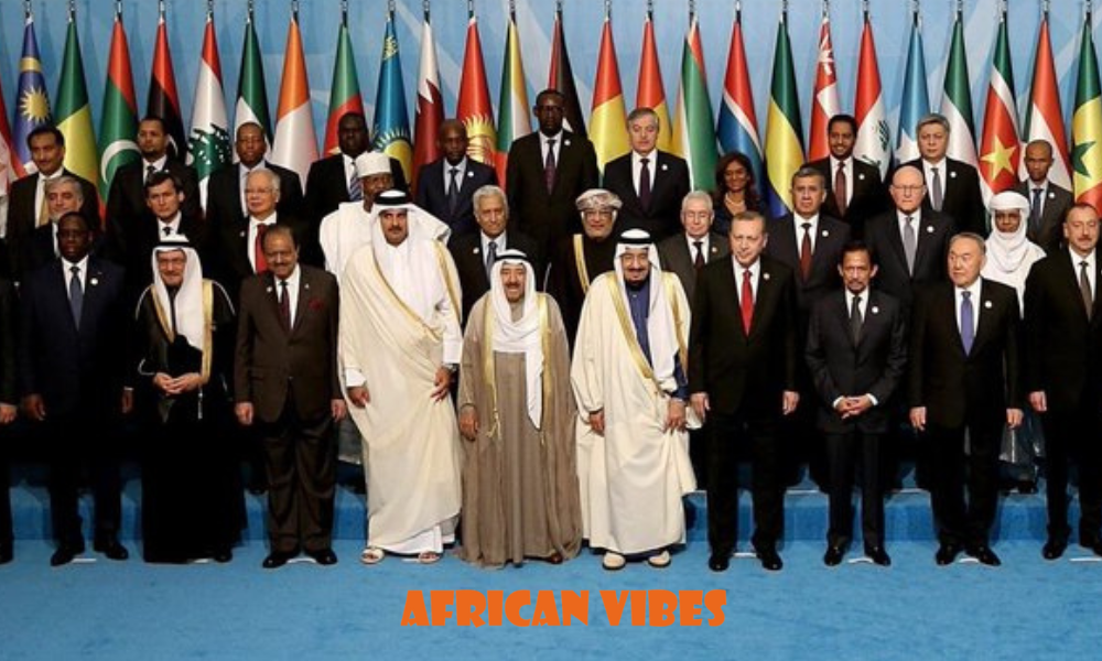 Egypt's Renewed Push for 'Arab NATO' Aims to Cement African and Arab ...